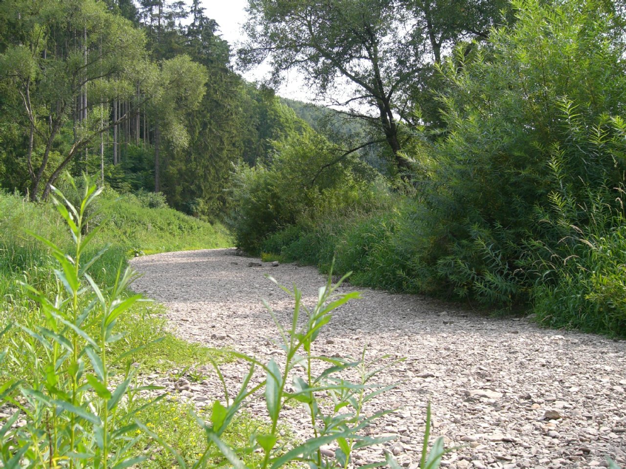Tour 10 - Premiumwanderweg "Donauversinkung" | Immendingen | Immendingen